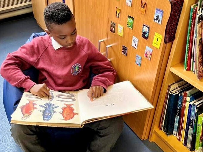 Our new library - Gallery - Hill Mead Primary School