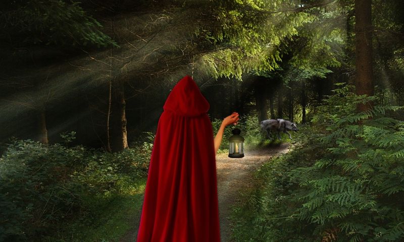 Using Our Senses Little Red Riding Hood Early Years Blog Hill using-our-senses-little-red-riding-hood-early-years-blog-hill